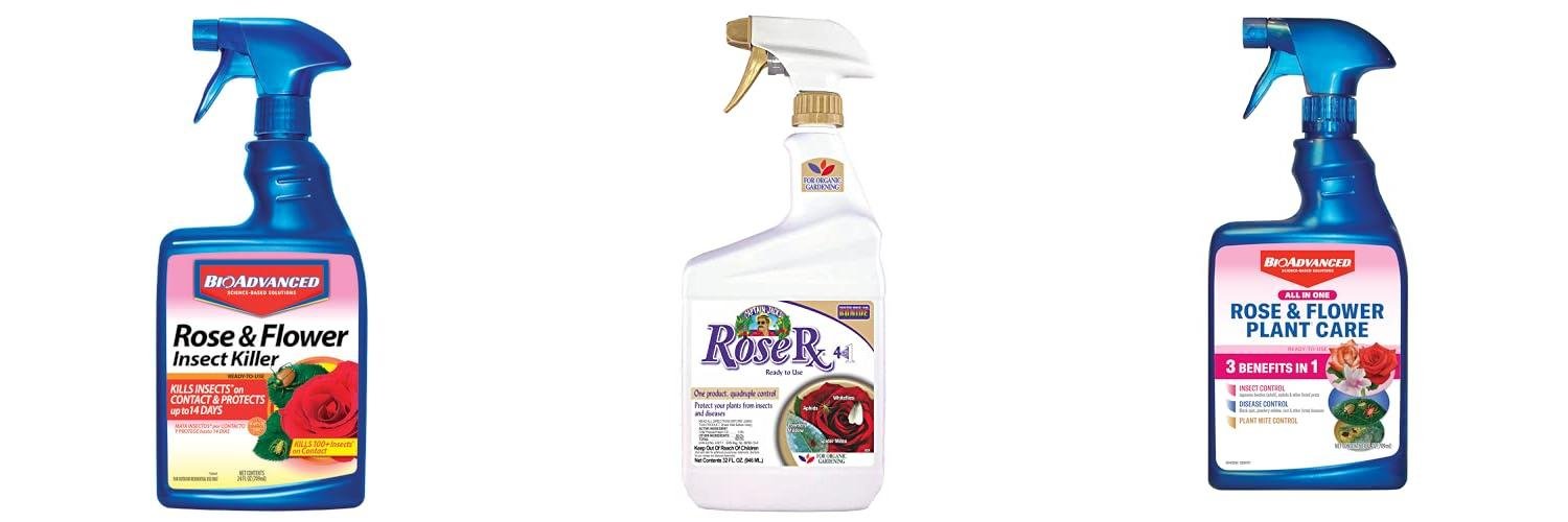 Best Bug Spray For Roses - Top 5 Picks & Review