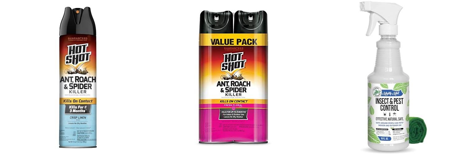 Top 5 Bug Sprays for Roaches & Spiders Reviewed